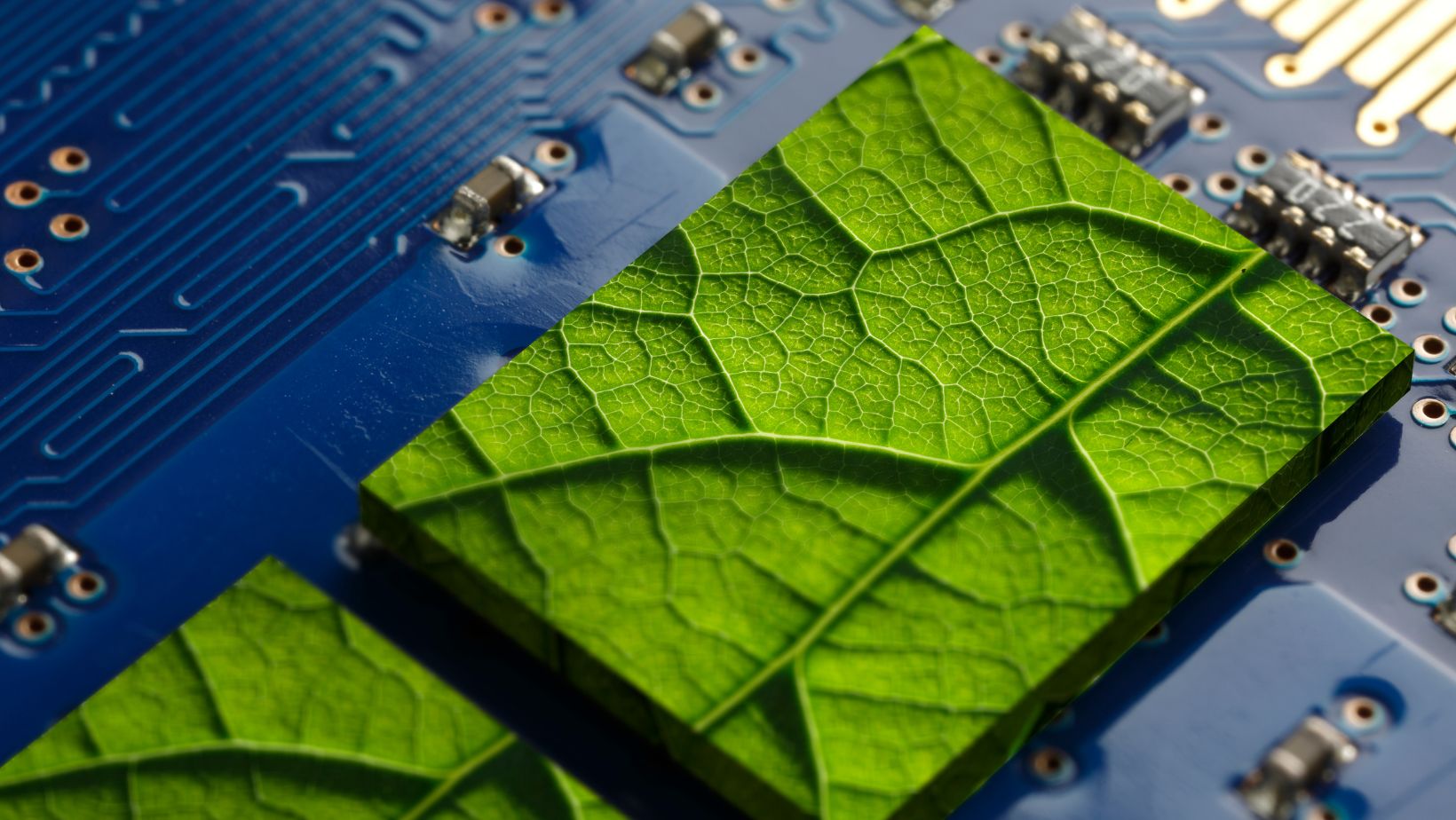 Why Invest in Green Technology: Exploring the Benefits - Savingtheplants
