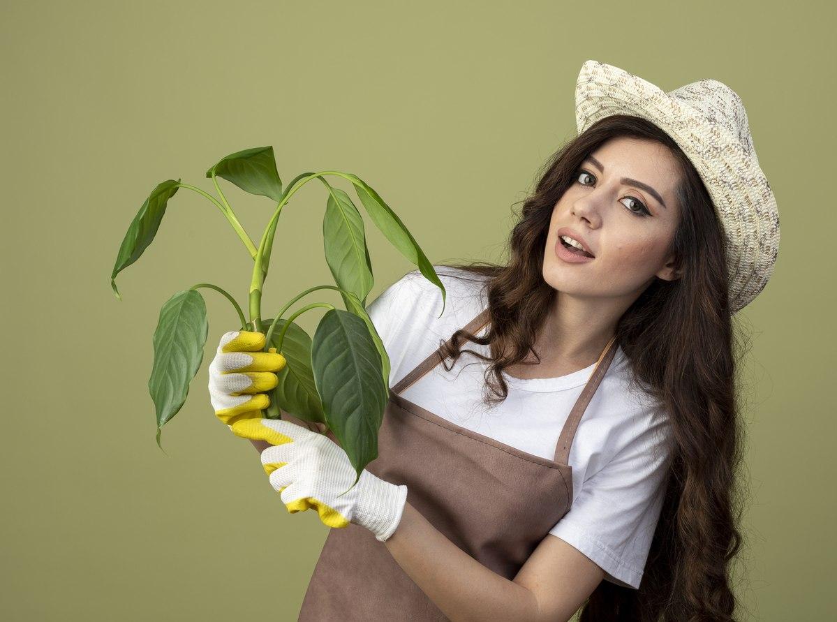 A Comprehensive Guide to Cleaning and Maintaining Artificial Plants ...
